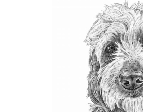 Size Group – Country Houses